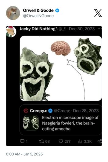 35 Random And Funny Memes From This Popular "Meme Historian"