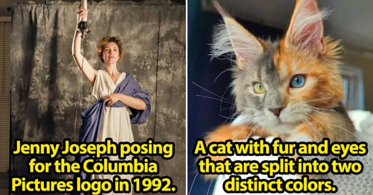 31 Random And Really Interesting Things We Found Online Recently