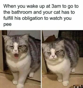 45 Hilariously Relatable “Me IRL” Memes That Hit Close To Home (January ...