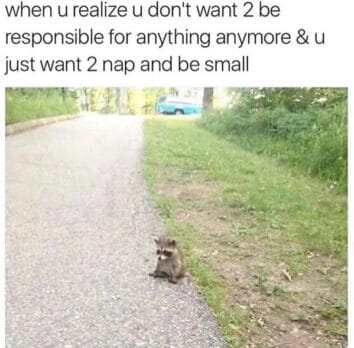 45 Hilariously Relatable “Me IRL” Memes That Hit Close To Home (January ...