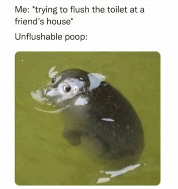45 Hilariously Relatable “Me IRL” Memes That Hit Close To Home (January ...