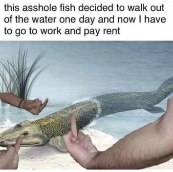 45 Hilariously Relatable “Me IRL” Memes That Hit Close To Home (January ...