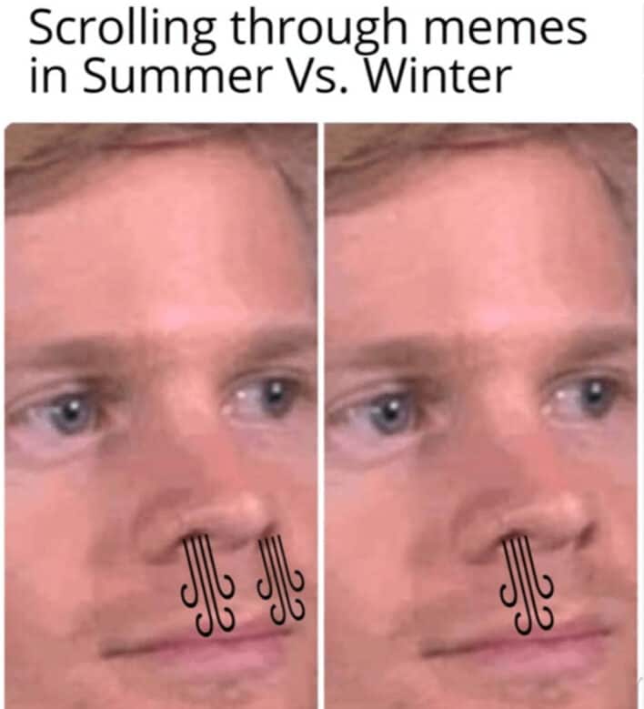 20 Summer Memes To Warm The Hearts Of People Snowed In and Over It