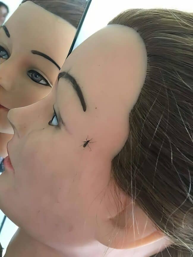 40 Funny And Unusual Images That Leave Us With More Questions Than Answers