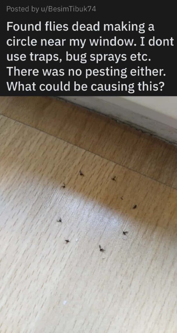 30 Weird And Unsettling Images That Will Haunt Your Thoughts For Days