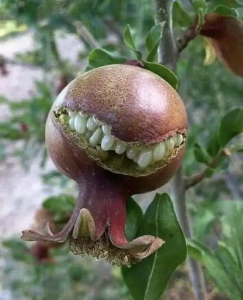 30 Weird And Unsettling Images That Will Haunt Your Thoughts For Days