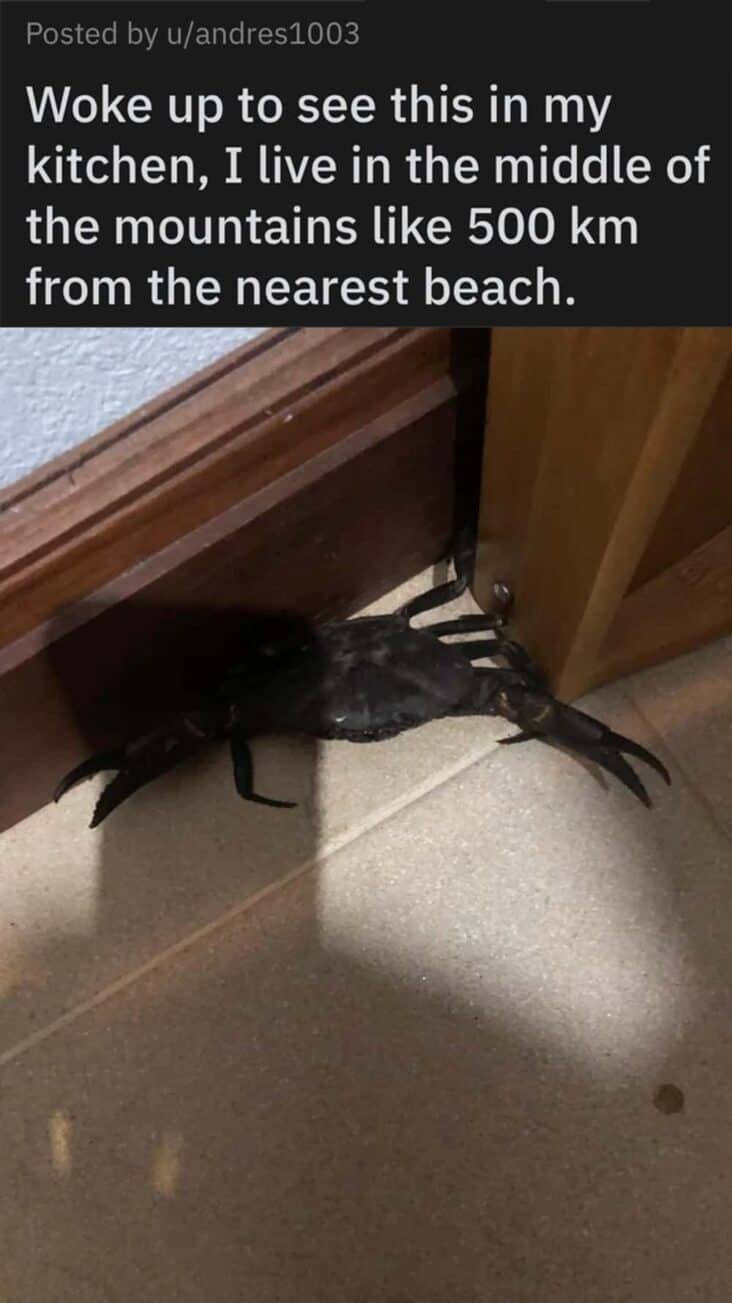 30 Weird And Unsettling Images That Will Haunt Your Thoughts For Days