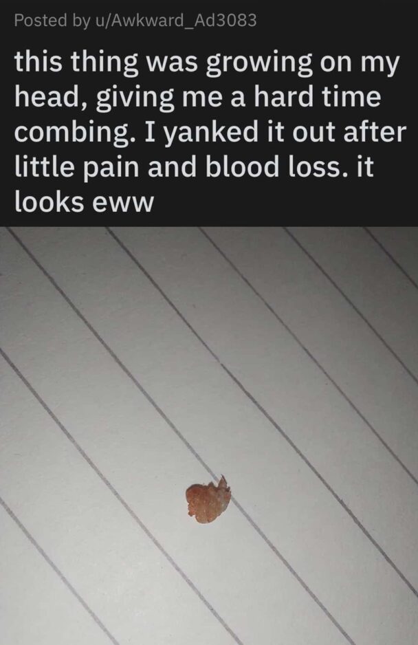 30 Weird And Unsettling Images That Will Haunt Your Thoughts For Days