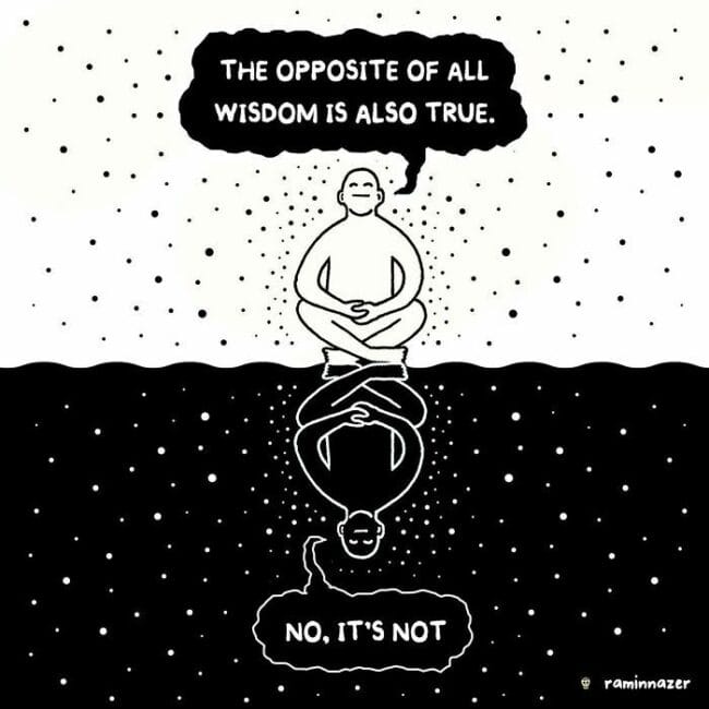 40 Wise And Thoughtful Comics From Unique Artist Ramin Nazer