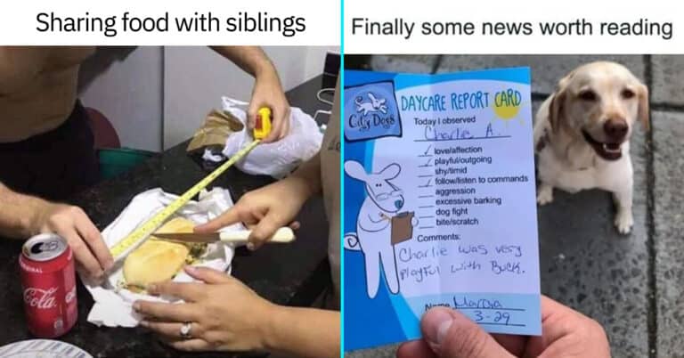 45 Wholesome Memes And Positive Posts That Made Us Smile This Week ...