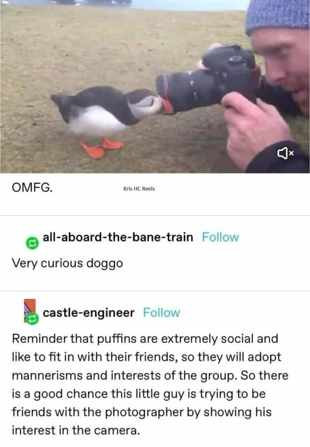 25+ Amazingly Wholesome Posts That Were Just Plain Lovely Today ...