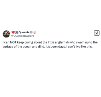 21 Teary-Eyed Memes About The Anglerfish Who Mysteriously Swam To ...