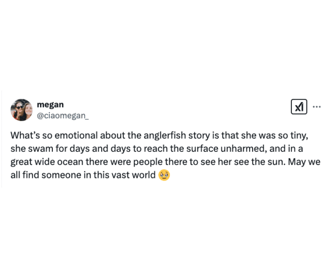 21 Teary-Eyed Memes About The Anglerfish Who Mysteriously Swam To ...