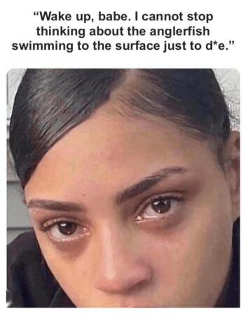 21 Teary-Eyed Memes About The Anglerfish Who Mysteriously Swam To ...