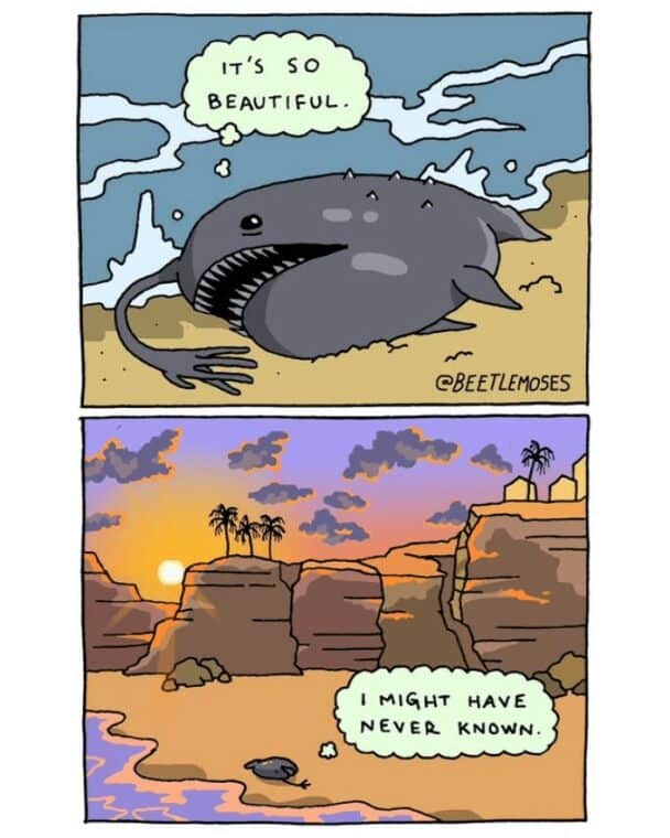 21 Teary-Eyed Memes About The Anglerfish Who Mysteriously Swam To ...