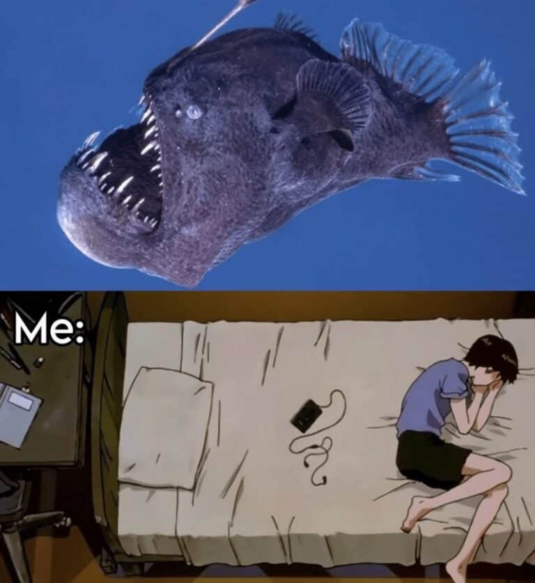 21 Teary-Eyed Memes About The Anglerfish Who Mysteriously Swam To ...