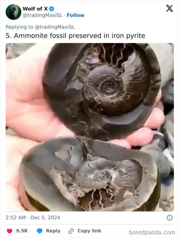30 Fascinating Historical Artifacts That Have Been Miraculously Preserved