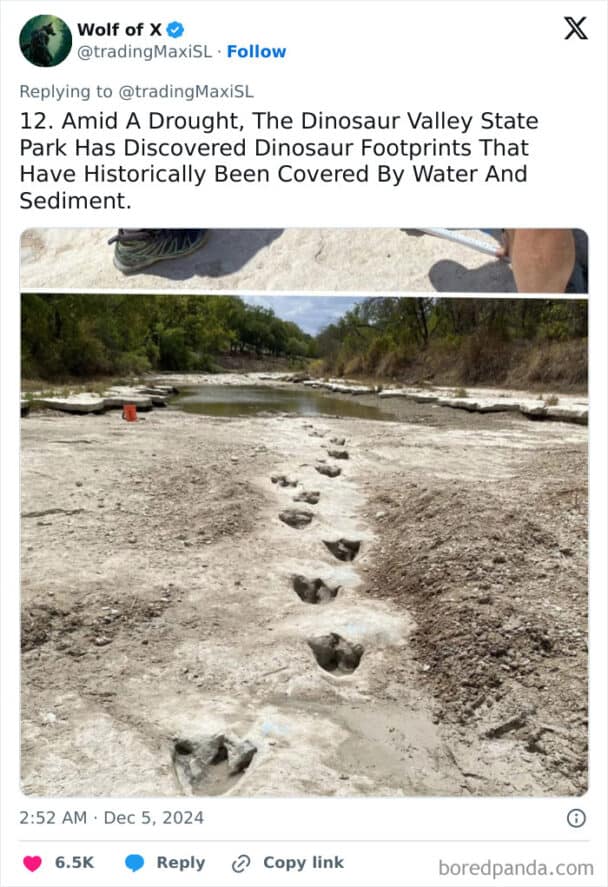 30 Fascinating Historical Artifacts That Have Been Miraculously Preserved