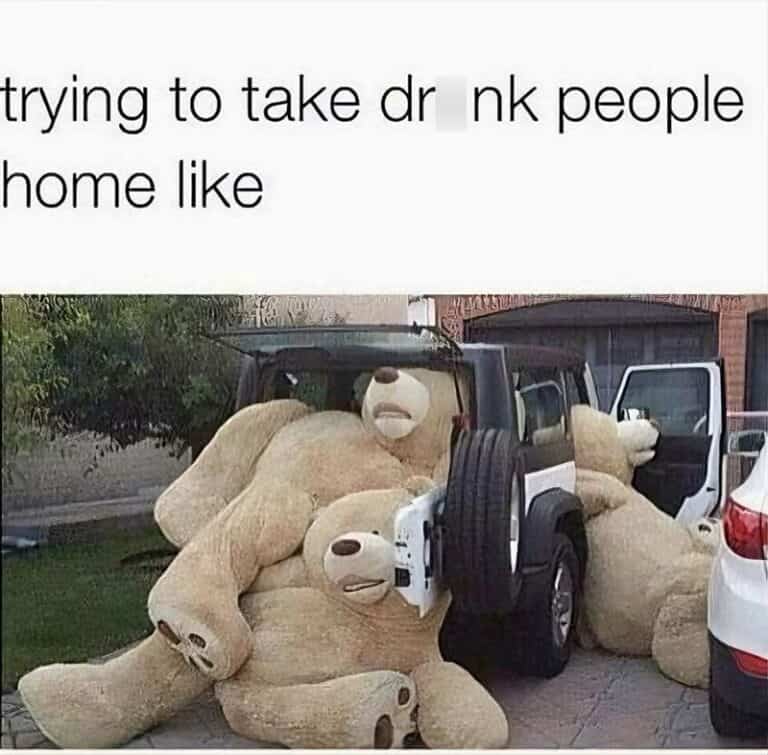 35 Funniest Bear Memes To Keep You Warm With Laughter Through Hibernation