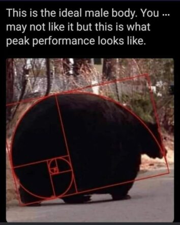 35 Funniest Bear Memes To Keep You Warm With Laughter Through Hibernation