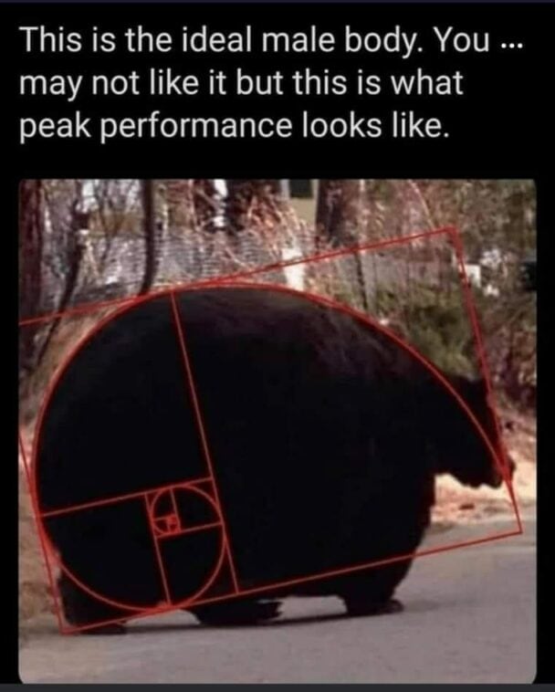 35 Funniest Bear Memes To Keep You Warm With Laughter Through Hibernation