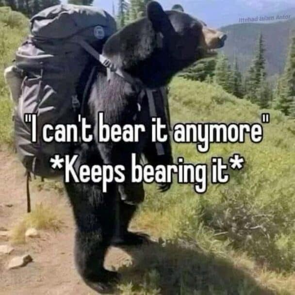 35 Funniest Bear Memes To Keep You Warm With Laughter Through Hibernation