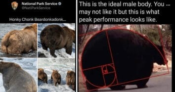 35 Funniest Bear Memes To Keep You Warm With Laughter Through Hibernation