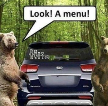35 Funniest Bear Memes To Keep You Warm With Laughter Through Hibernation
