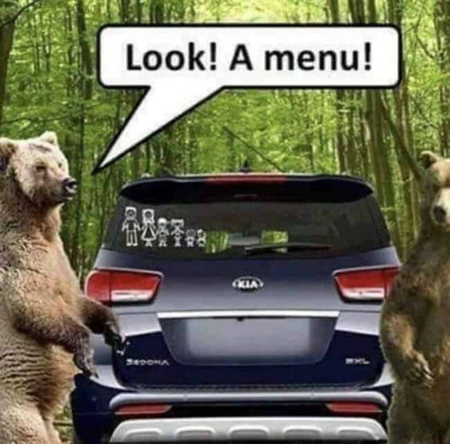 35 Funniest Bear Memes To Keep You Warm With Laughter Through Hibernation