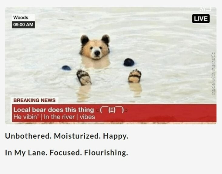 35 Funniest Bear Memes To Keep You Warm With Laughter Through Hibernation