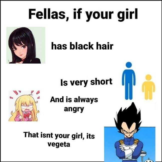 35 Funniest Dragon Ball Memes This Month With A Power Level Over 9000