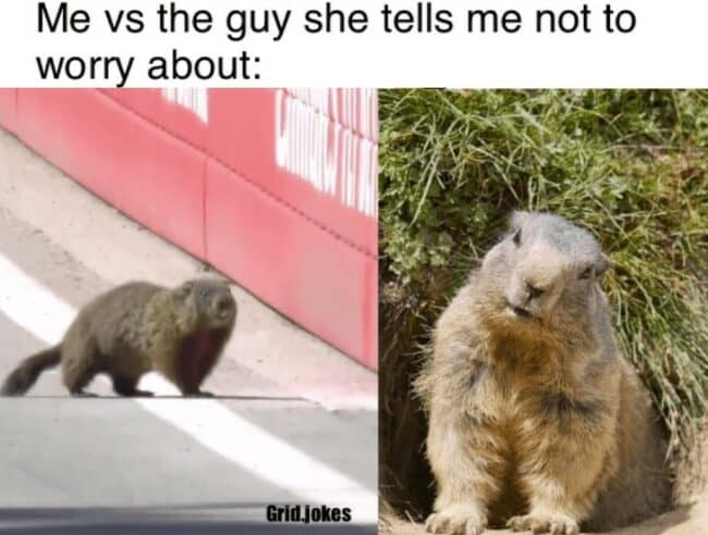 38 Funniest Groundhog Day Memes That Thicc Rat Never Saw Coming