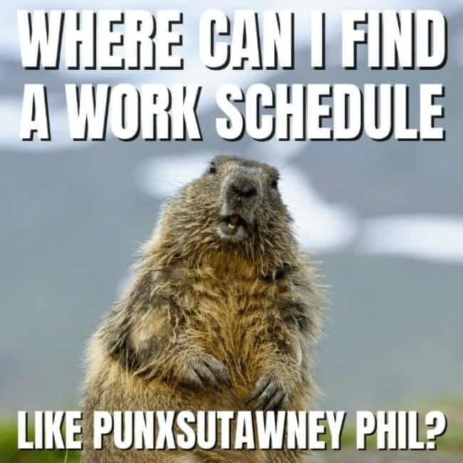38 Funniest Groundhog Day Memes That Thicc Rat Never Saw Coming