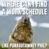 40 Funniest Groundhog Day Memes Punxsutawney Phil Never Saw Coming
