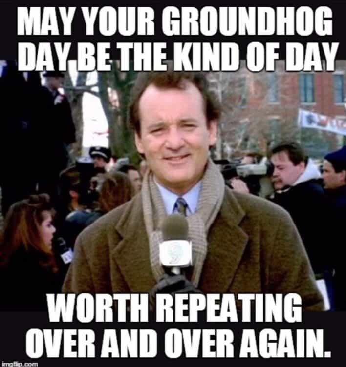 40 Funniest Groundhog Day Memes Punxsutawney Phil Never Saw Coming