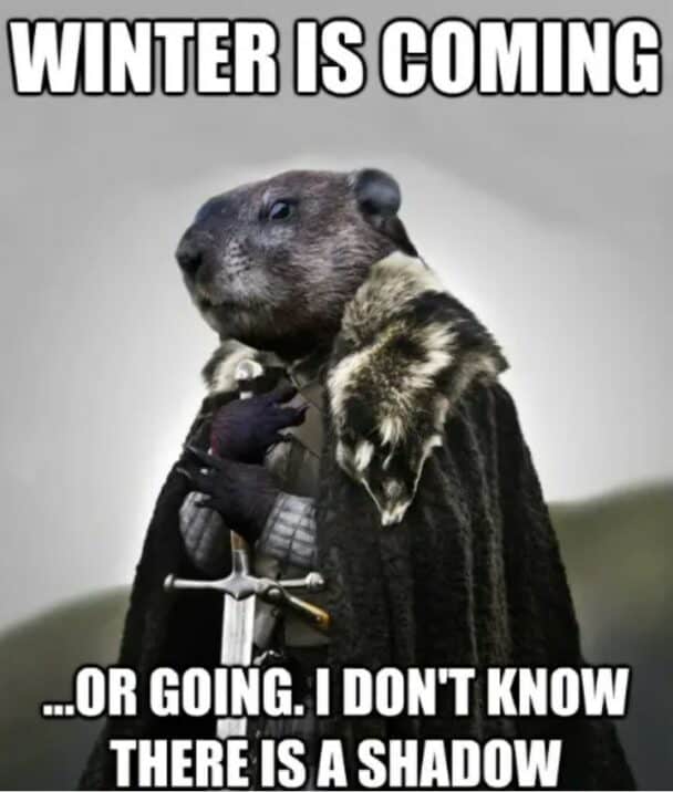 38 Funniest Groundhog Day Memes That Thicc Rat Never Saw Coming