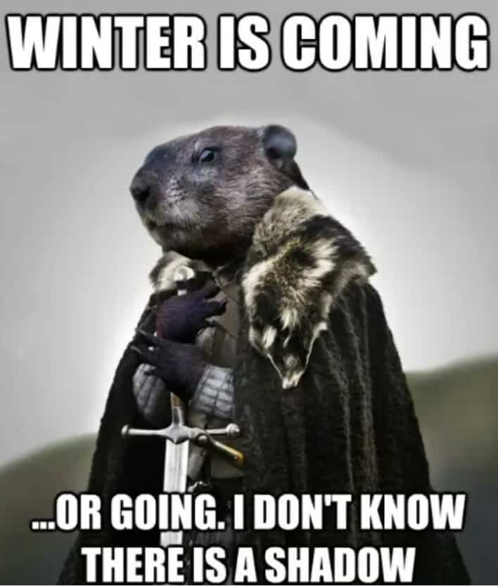 38 Funniest Groundhog Day Memes That Thicc Rat Never Saw Coming