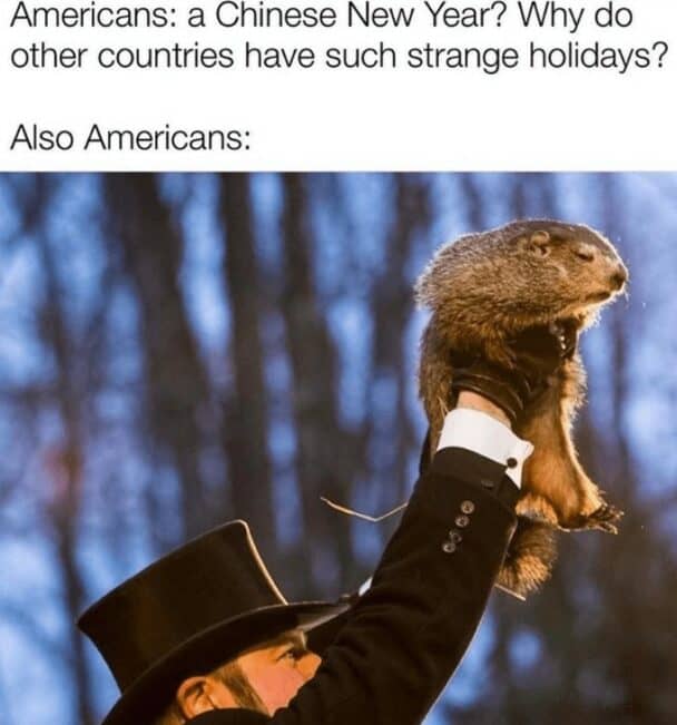 38 Funniest Groundhog Day Memes That Thicc Rat Never Saw Coming
