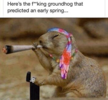 38 Funniest Groundhog Day Memes That Thicc Rat Never Saw Coming