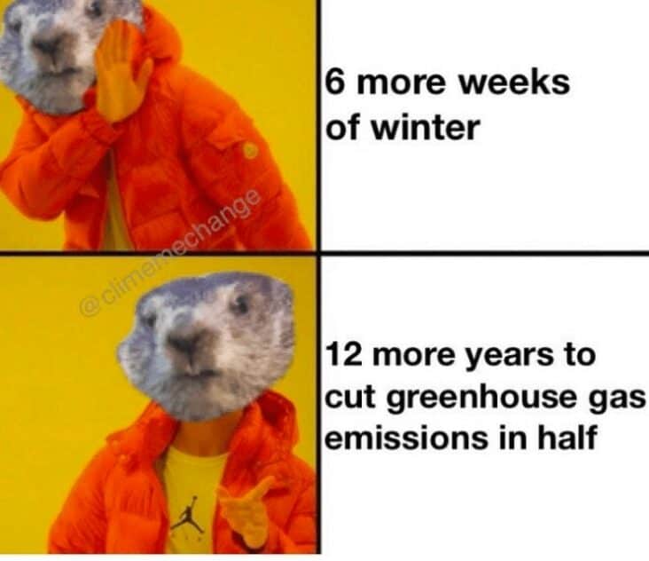 38 Funniest Groundhog Day Memes That Thicc Rat Never Saw Coming