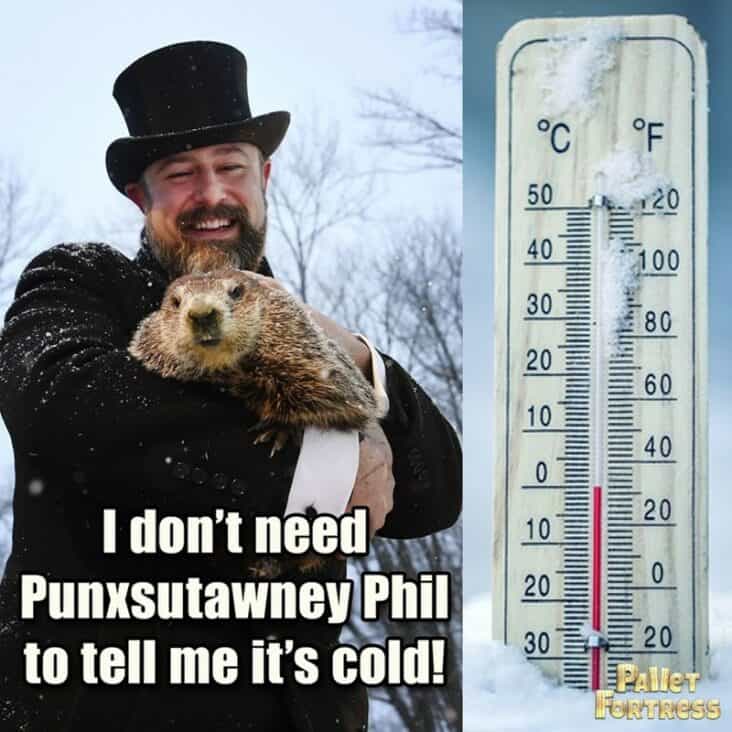 38 Funniest Groundhog Day Memes That Thicc Rat Never Saw Coming