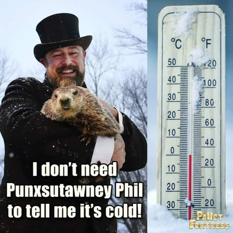 38 Funniest Groundhog Day Memes That Thicc Rat Never Saw Coming