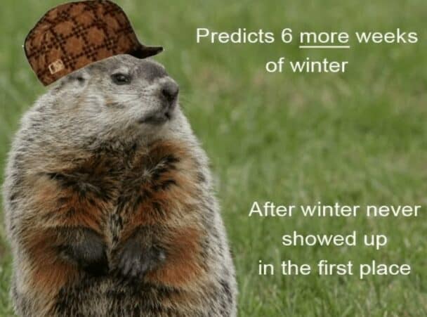 40 Funniest Groundhog Day Memes Punxsutawney Phil Never Saw Coming