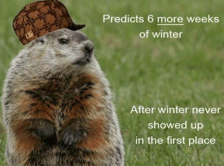 38 Funniest Groundhog Day Memes That Thicc Rat Never Saw Coming