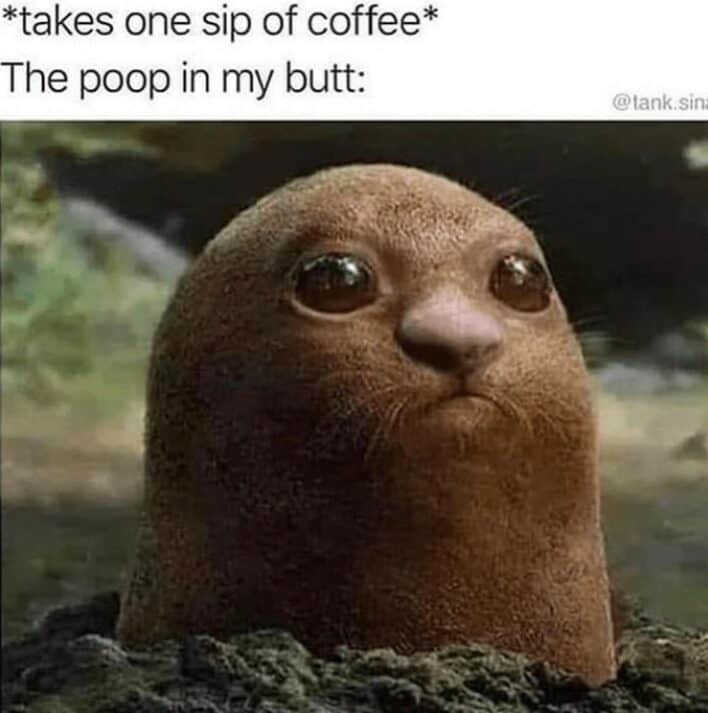 38 Funniest Groundhog Day Memes That Thicc Rat Never Saw Coming