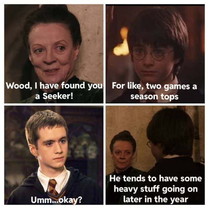 35 Funniest Harry Potter Memes Delivered By Owl Week (February 4, 2025)