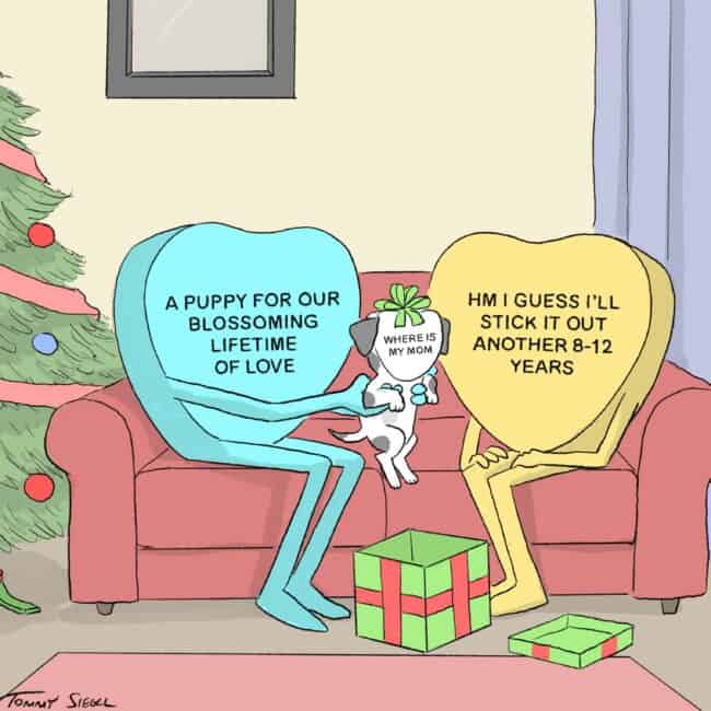 40 Funniest One-Panel Comics From New Yorker Cartoonist Tommy Siegel