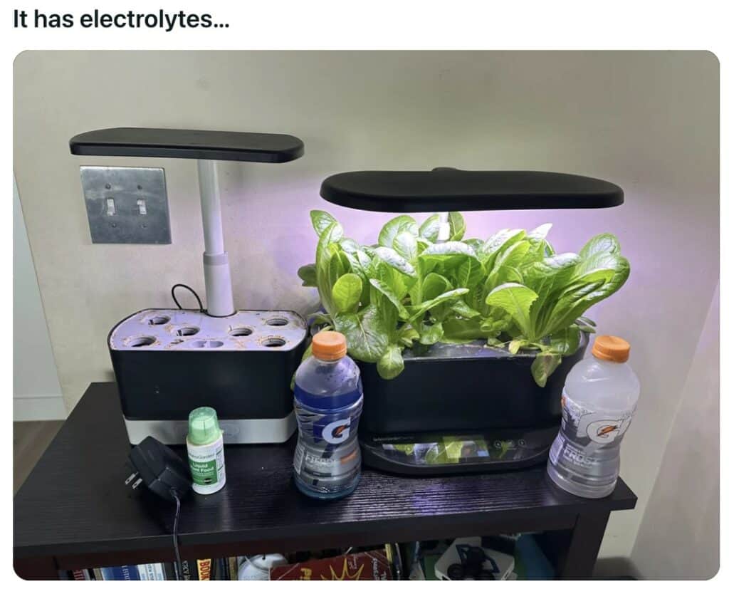 35 Funniest And Wildest Reddit Posts We Found In The Depths This Month ...