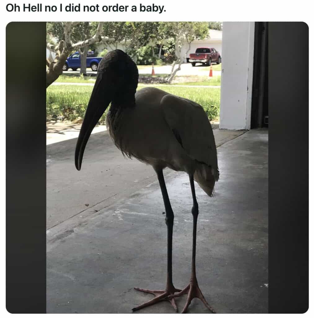 35 Funniest And Wildest Reddit Posts We Found In The Depths This Month ...