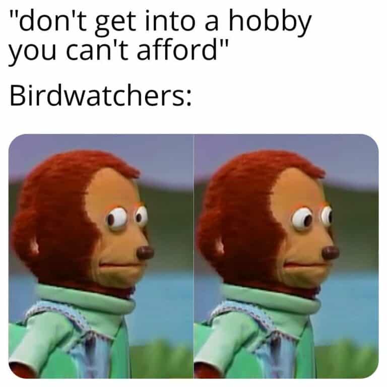 40 Funny Birdwatcher Memes For The Hawk Gawkers And Peep Peepers